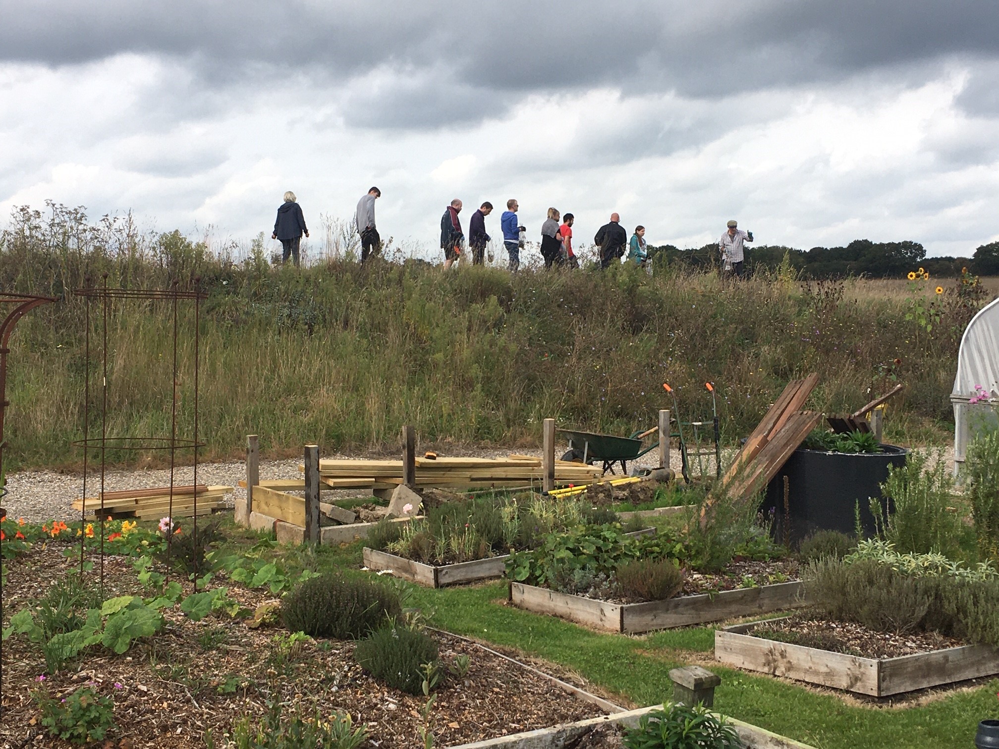 Farming – Norfolk Green Care Network